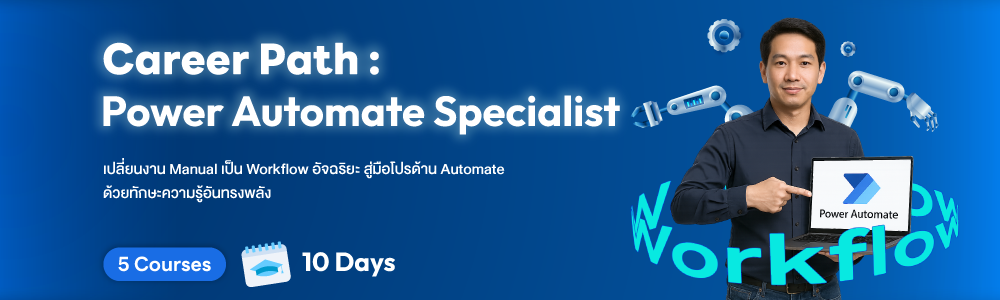 9Expert - Career Path